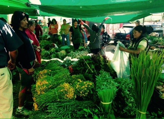 Mercado Sonora - 10 Reviews - Flea Markets - Fray Servando Teresa de ...