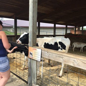 Timbavati Wildlife Park - 133 Photos & 85 Reviews - Parks - 2220 ...