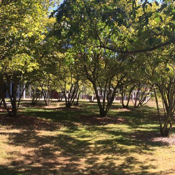 Center for Urban Horticulture - 2019 All You Need to Know BEFORE You Go ...