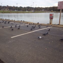 Camp Jordan Park & Arena - 51 Photos - Stadiums & Arenas - 323 Camp ...