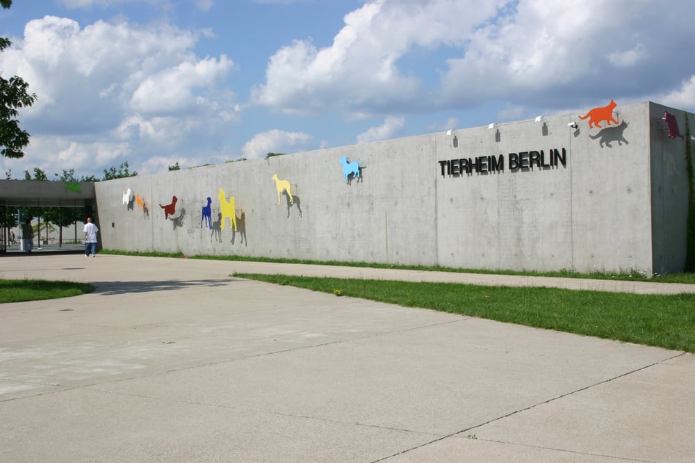Tierheim Berlin - 40 Photos & 30 Reviews - Animal Shelters ...