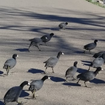 Lindo Lake County Park - 134 Photos & 30 Reviews - Parks - 12660 Lindo ...