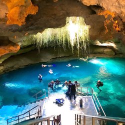 Devil’s Den Prehistoric Spring - 304 Photos & 141 Reviews - Scuba Diving - 5390 NE 180th Ave ...
