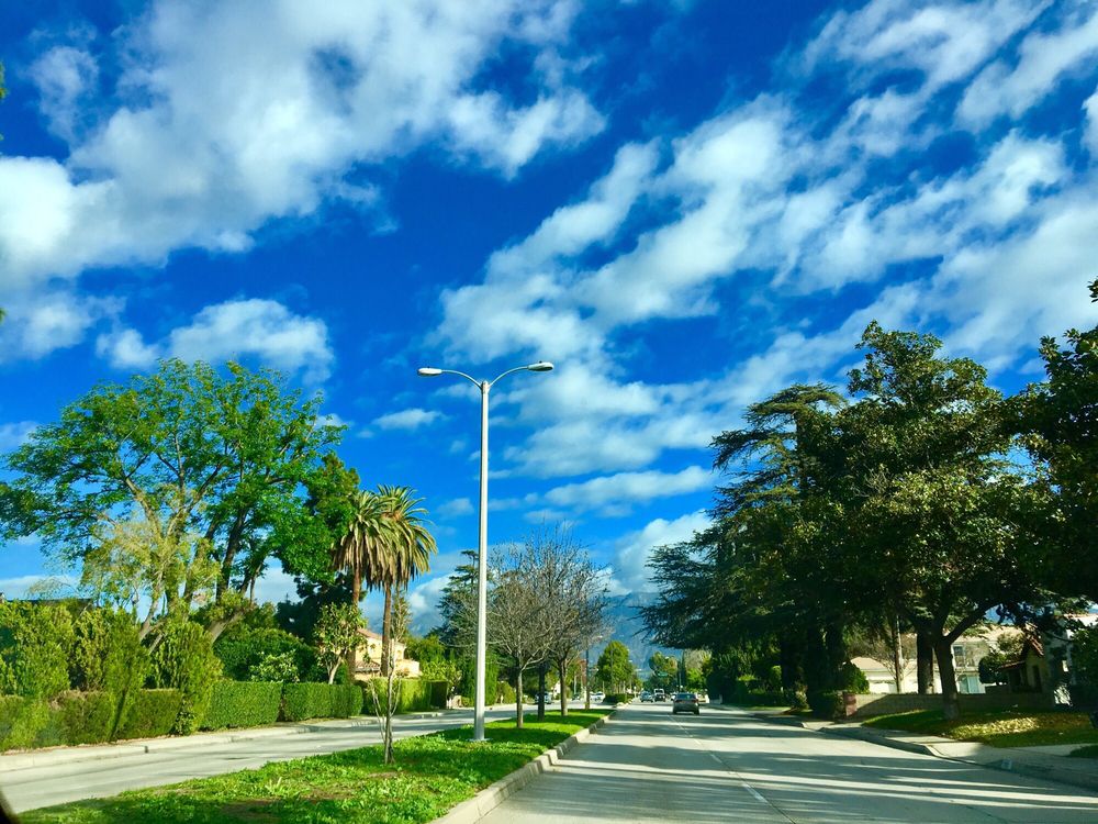 City of Arcadia - 32 Photos - Local Flavor - 240 W Huntington, Arcadia ...