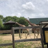 Henry Vilas Park Zoo - 270 Photos & 171 Reviews - Zoos - 702 S Randall ...