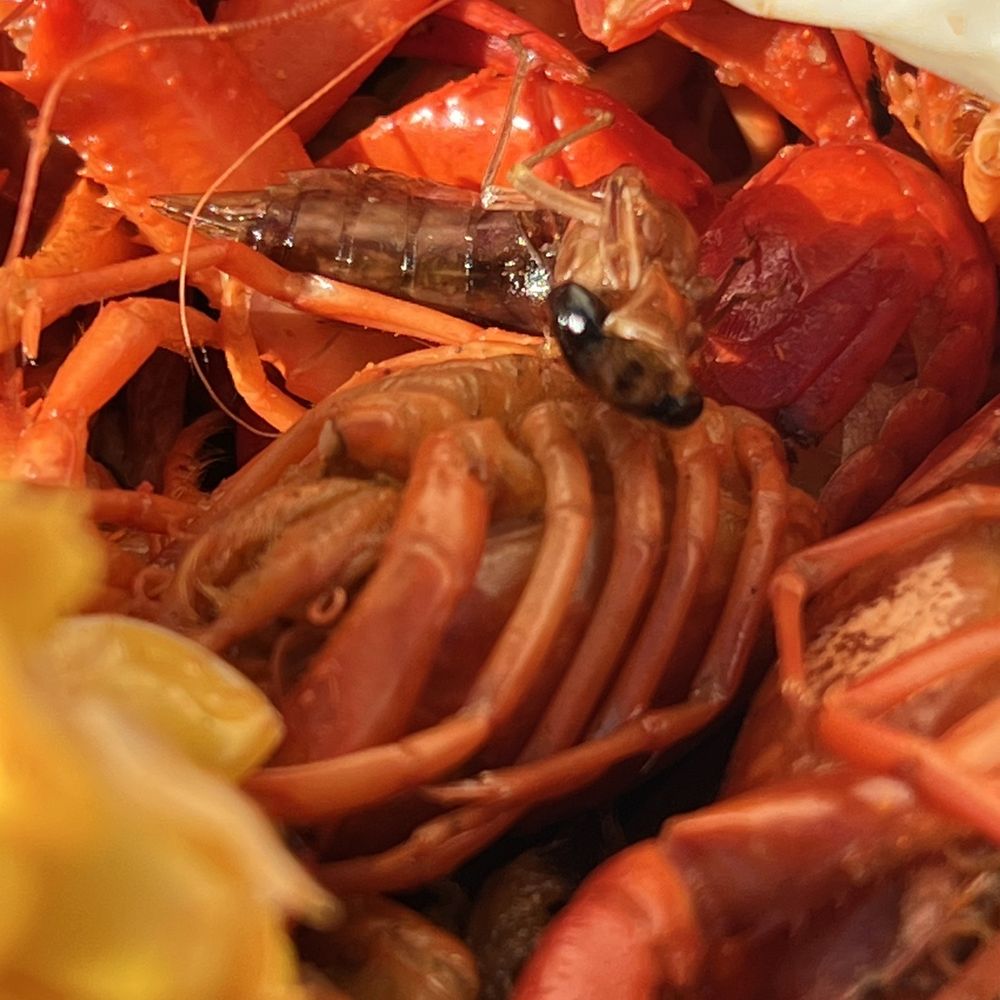 Top 50 Crawfish Spots in Greater Houston - 2021 - Yelp