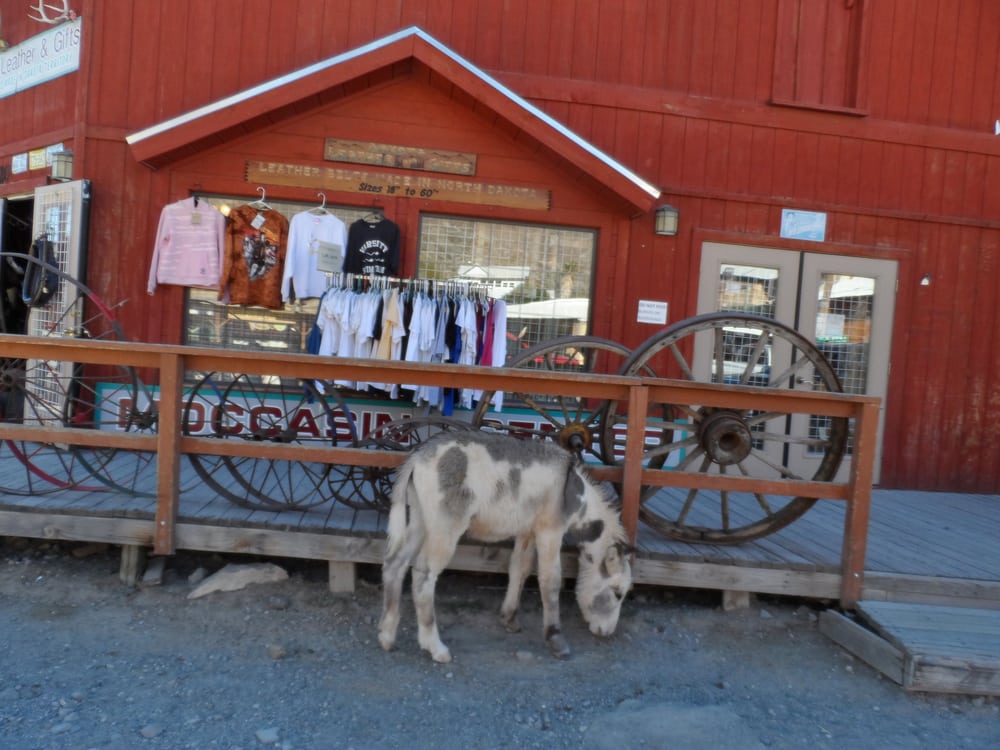 Town of Oatman - 400 Photos & 92 Reviews - Local Flavor - Oatman, AZ ...