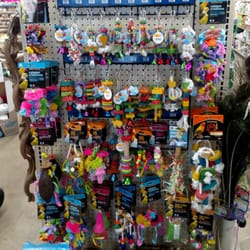Mini Pet Mart - 39 Photos - Pet Stores - 1450 NE Hwy 101, Lincoln City ...