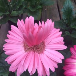 Maria Gardens Center - 10 Photos - Nurseries & Gardening - 10301 W ...