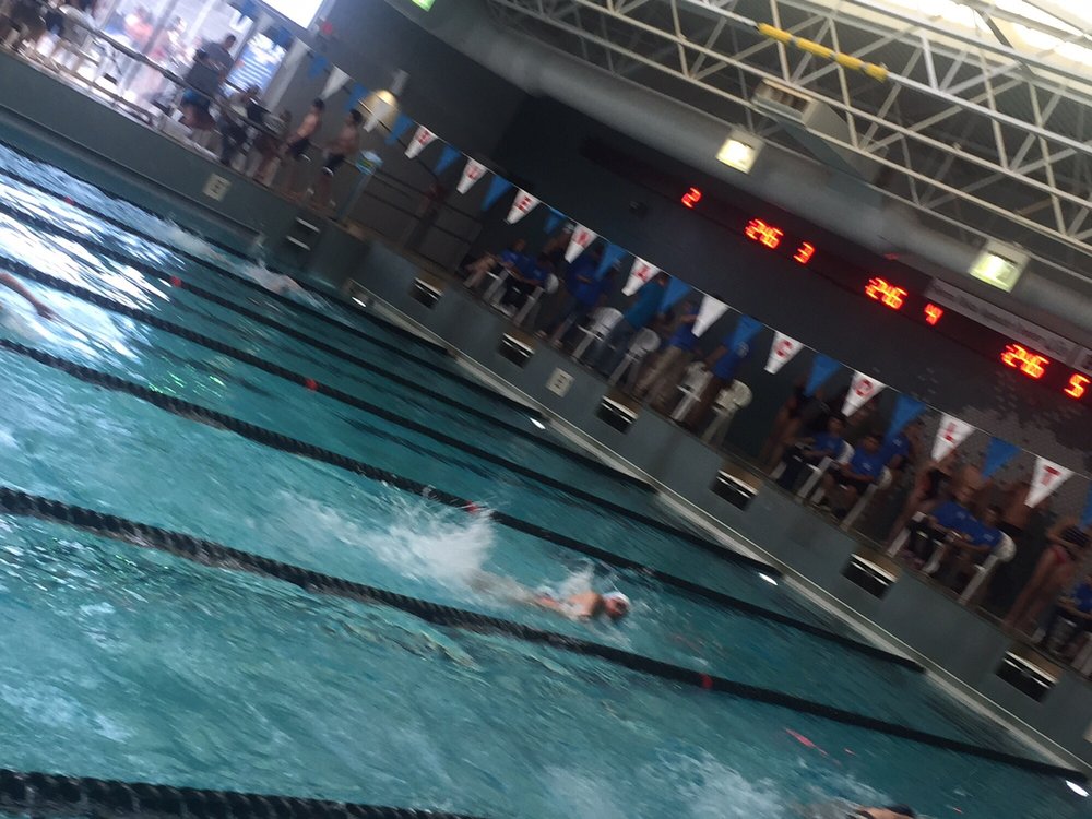 The Cove Aquatic Center - 12 Photos - Swimming Lessons/Schools - 2900 ...
