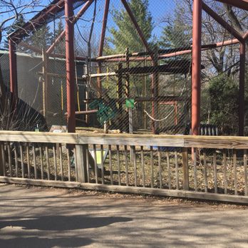 Henry Vilas Park Zoo - 222 Photos & 154 Reviews - Zoos - 702 S Randall ...