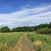 Cleveland Lakefront Nature Preserve - 2019 All You Need to Know BEFORE ...