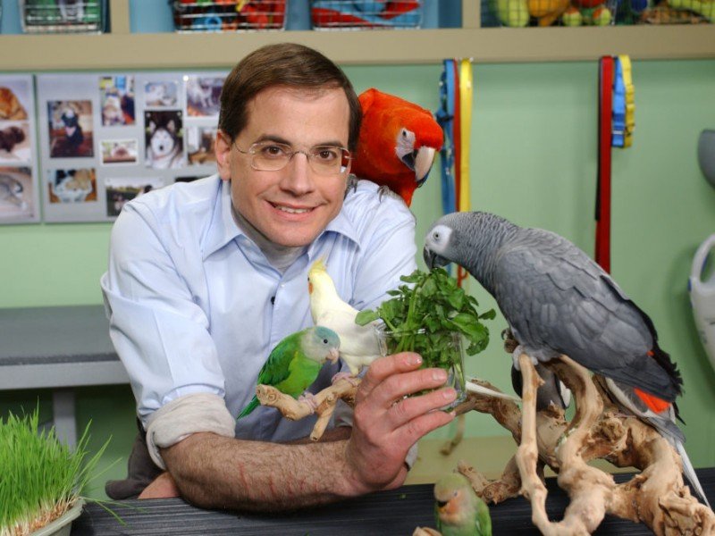 Parrots of the World - 55 Photos & 62 Reviews - Reptile Shops - 316 ...